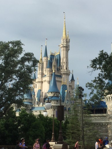 Our Disney “Don’t Miss” Lists | Still Chasing Fireflies